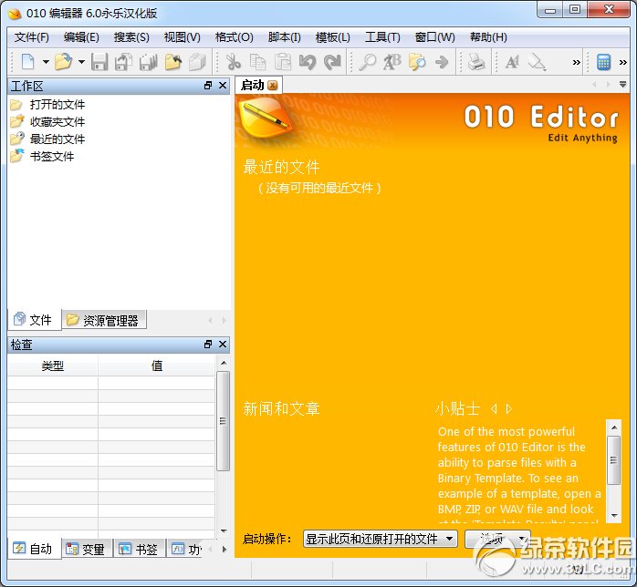 16进制编辑器下载_16进制编辑器(010 editor)7.0.1 中文免费版-PC下载网